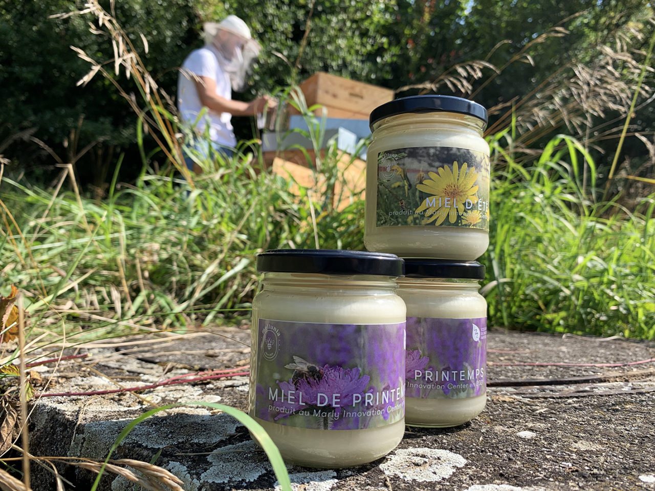Du miel local "made in MIC" avec Mellunia - Marly Innovation Center